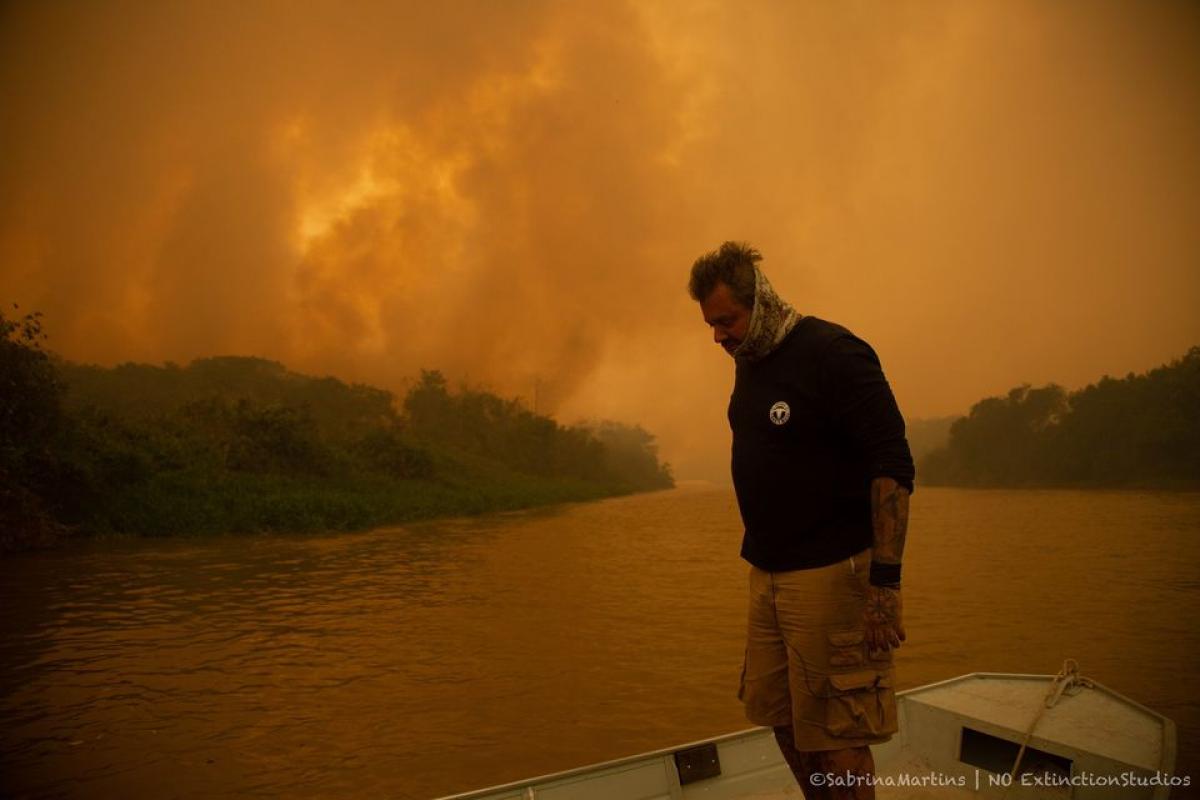 Em 40 anos, nunca vi o Pantanal assim, lamenta Richard Rasmussen ...
