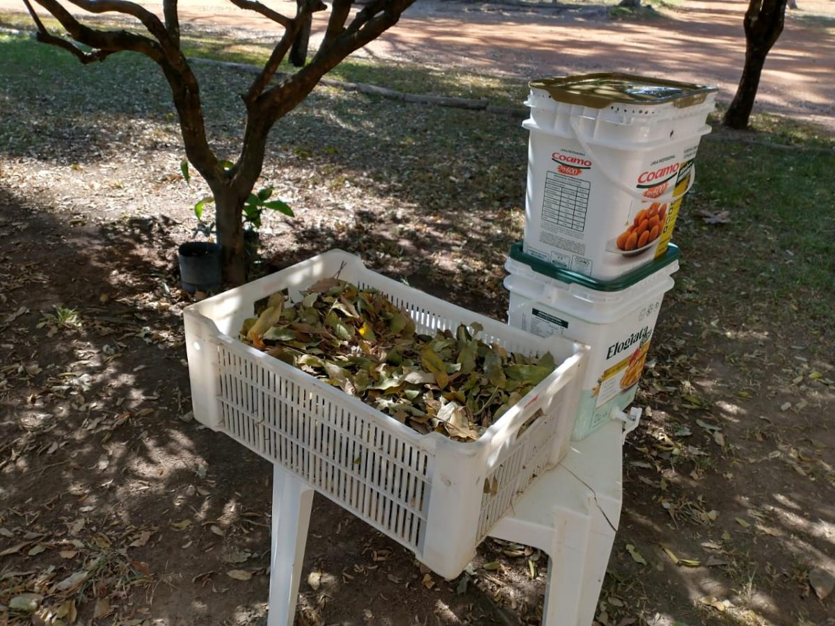 Para evitar queimadas, aprenda a fazer uma composteira artesanal ...