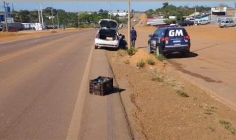 Idoso morre ao tentar atravessar rodovia em Colíder | Gazeta Digital