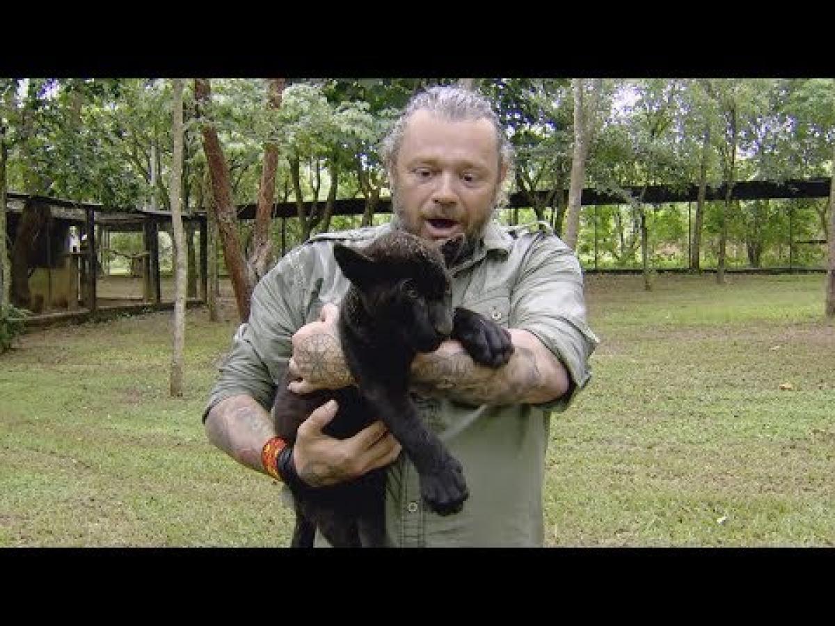 Cuiabá recebe Expopets com apresentador Richard Rasmussen no próximo ...